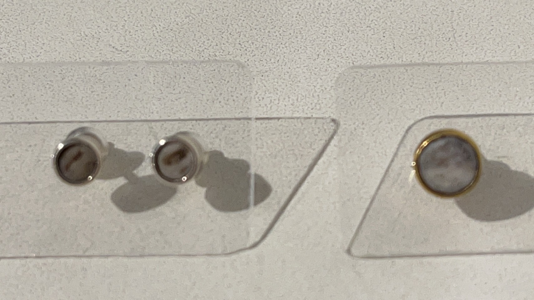 【NEUT】アクセサリーPOP UP開催中♪ | マルヤマ クラス [ maruyama class ]