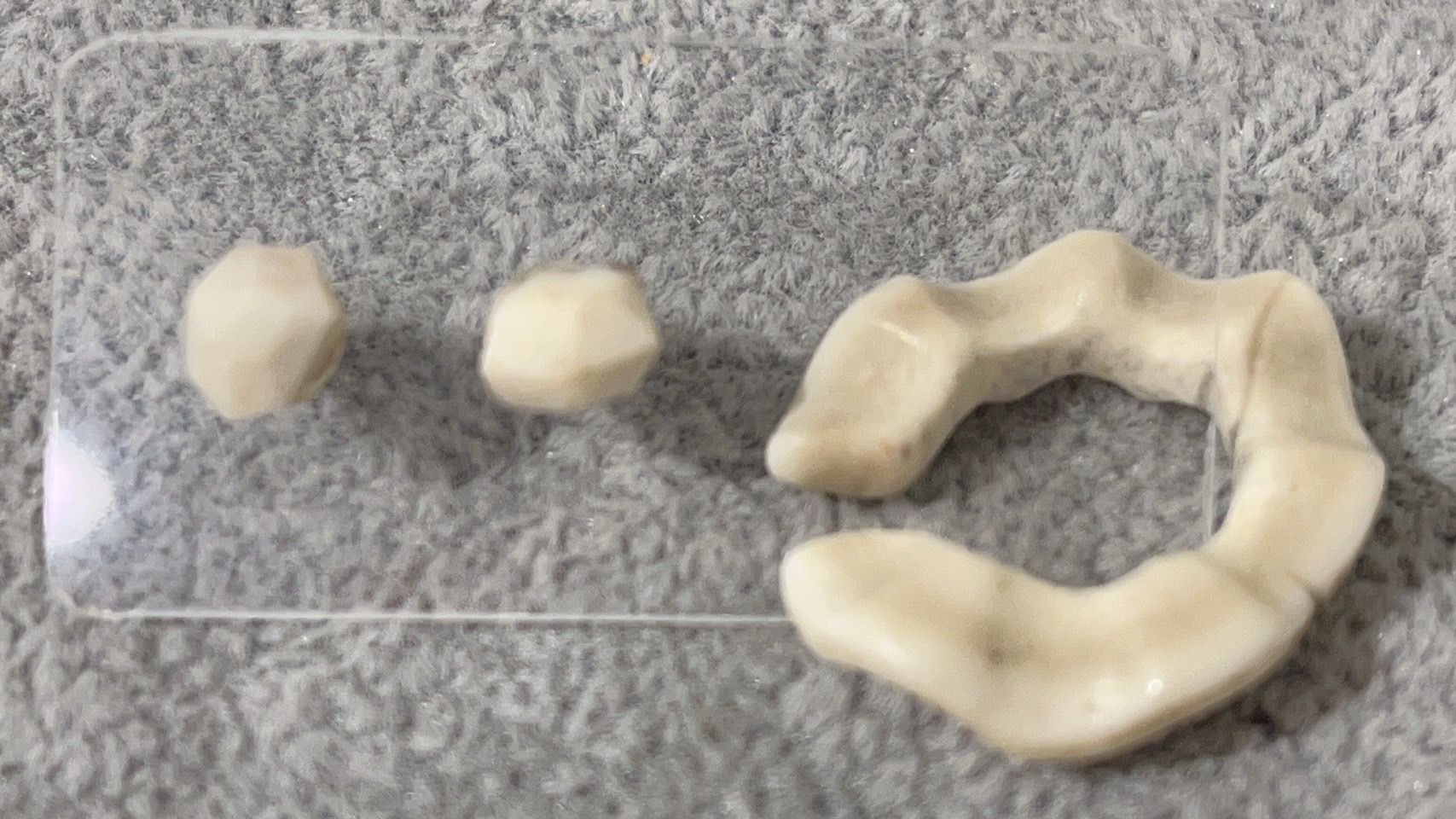 【NEUT】アクセサリーPOP UP開催中♪ | マルヤマ クラス [ maruyama class ]